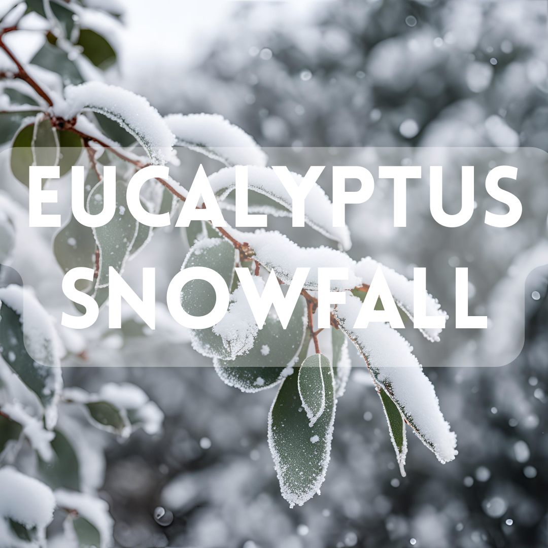 Eucalyptus Snowfall - Premium Fragrance Oil – Fizz Fairy Krazycolours Inc.