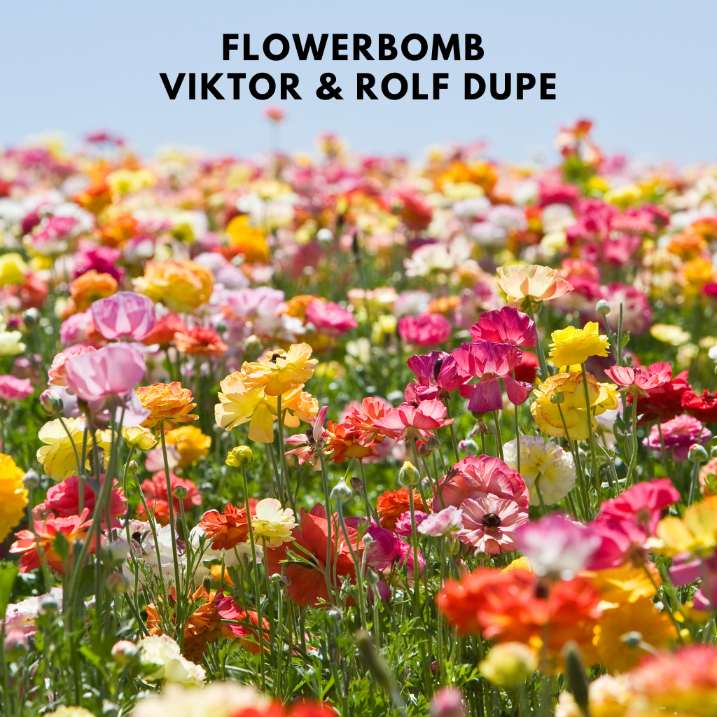 Flowerbomb Viktor & Rolf Dupe - Premium Fragrance Oil – Fizz Fairy ...