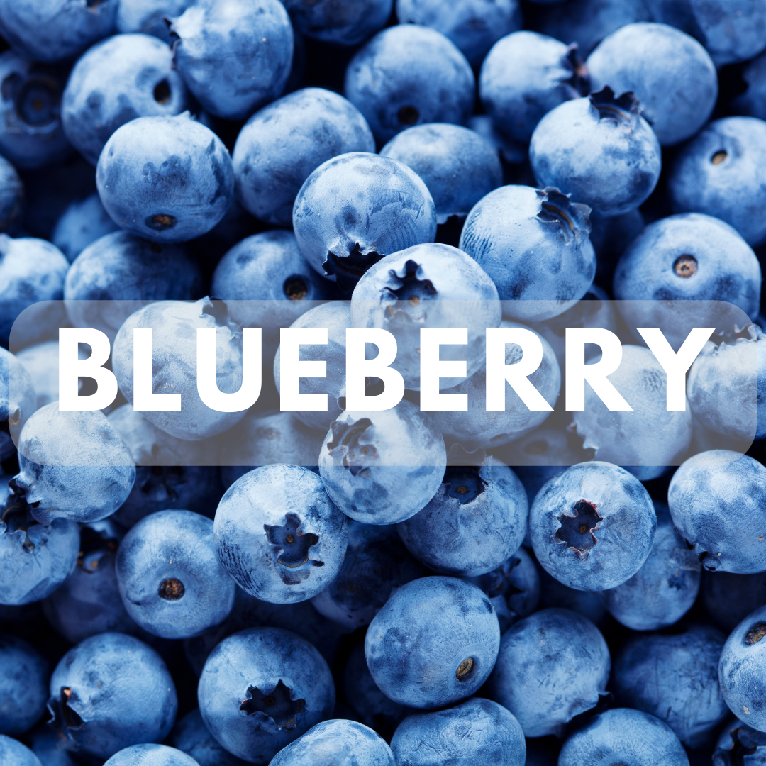 Blueberry - Premium Fragrance Oil – Fizz Fairy Krazycolours Inc.